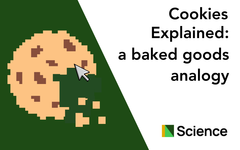 Cookies Explained: A baked goods analogy | In Digital Marketing